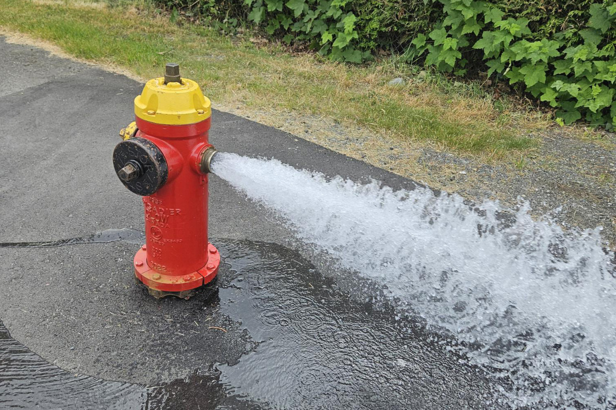 Vandals target Nanaimo fire hydrants, spilling water and sparking ...